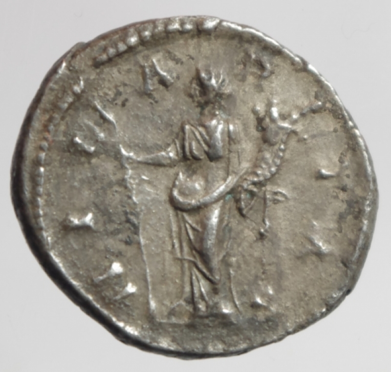 Dea Moneta, numismatic auctions - en